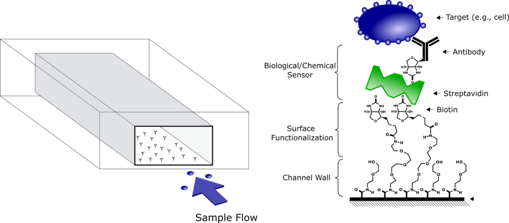 Polymers for Microfluidic Devices: Surface Functionalization - EDEN TECH