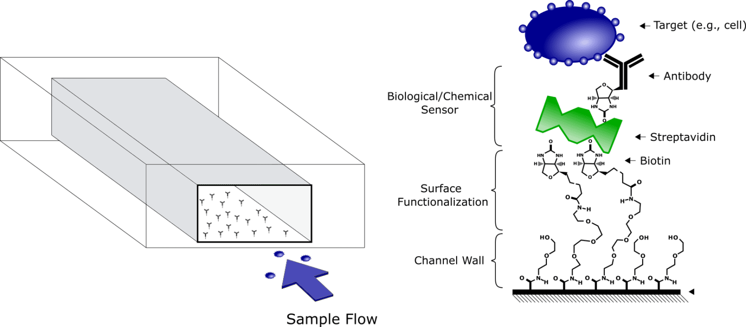 Polymers for Microfluidic Devices: Surface Functionalization - EDEN TECH