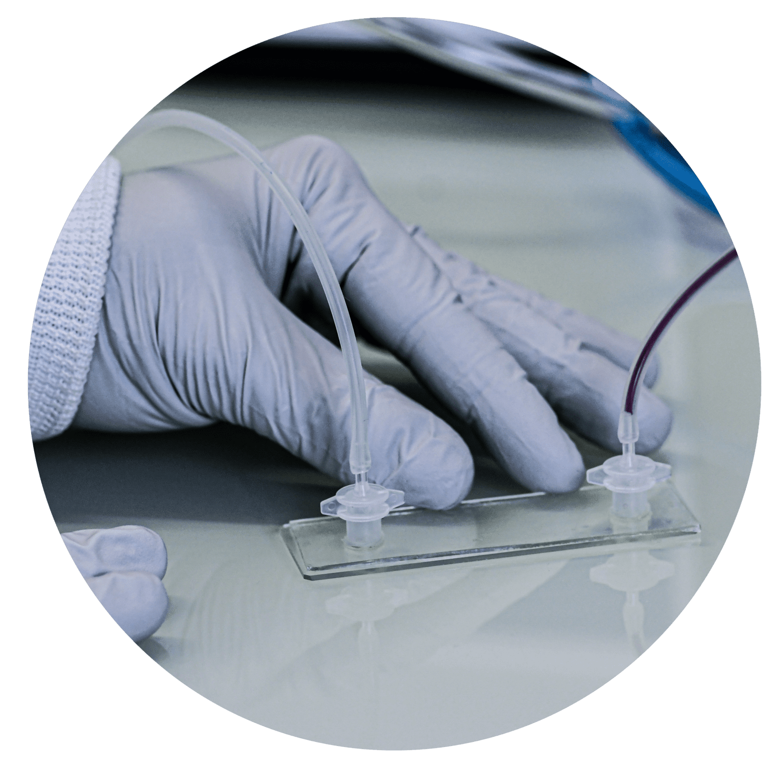 Accessories - EDEN TECH