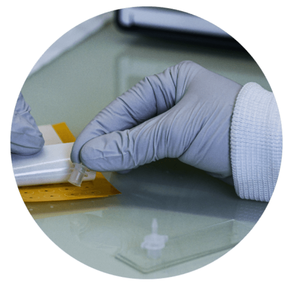 Accessories - EDEN TECH