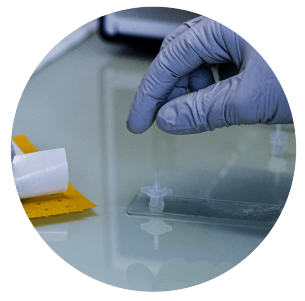 Accessories - EDEN TECH