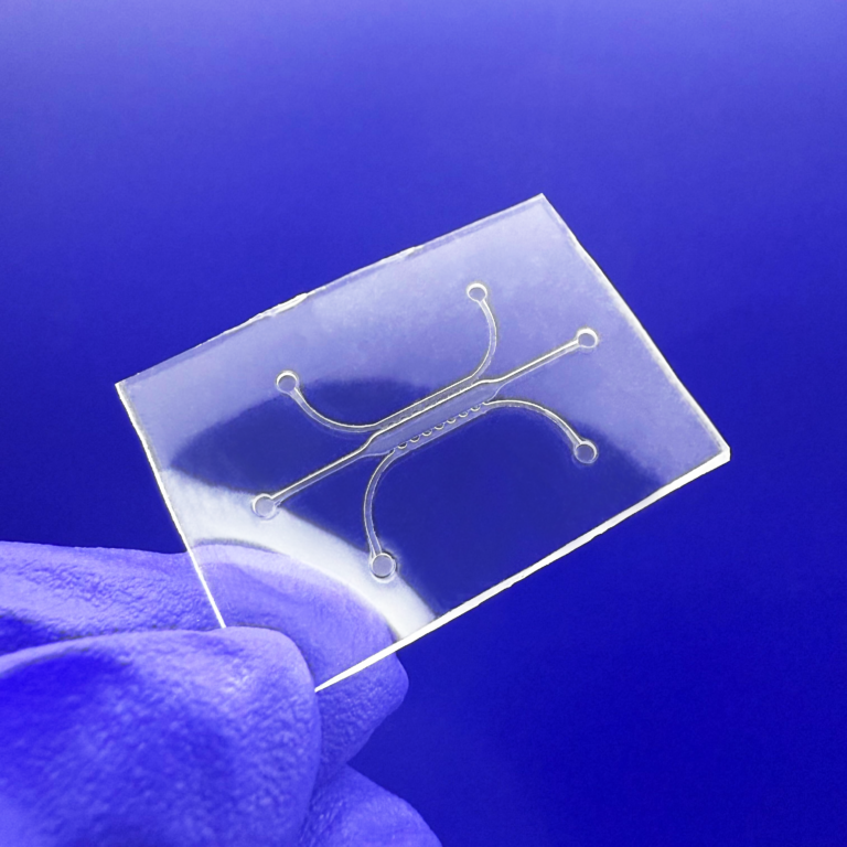 What is a Microfluidic Chip? A Complete Guide for Scientists, Engineers ...