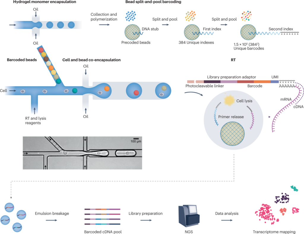 Droplet-Based Microfluidics: A Design Guideline - EDEN TECH