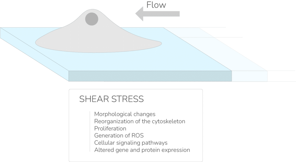 Microfluidic Cell Culture : Alternative to PDMS & Design
